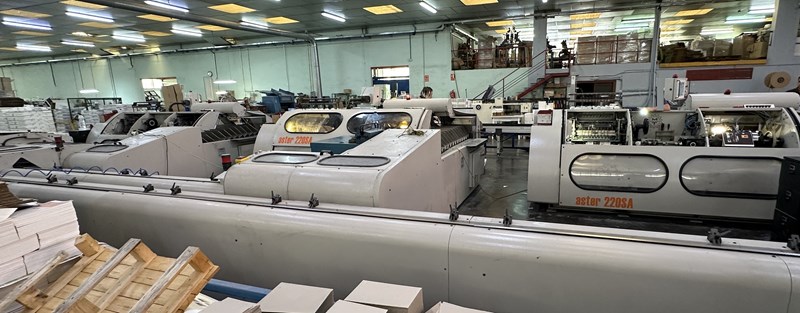 Meccanotecnica Multiplex with 3 Aster 220 SA sewing machines | pressXchange