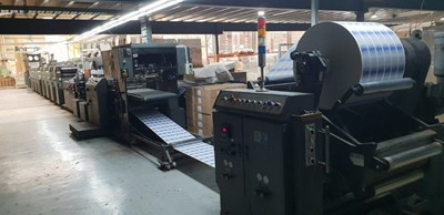 Didde VIP | Graphics International