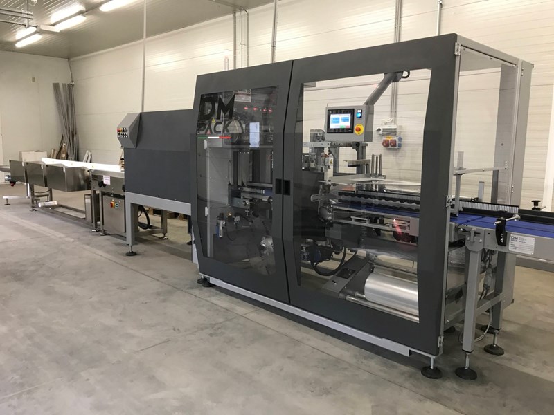 DM Pack STAR EVO 500B Packaging machine + DIBAL GW4000 Measuring and ...